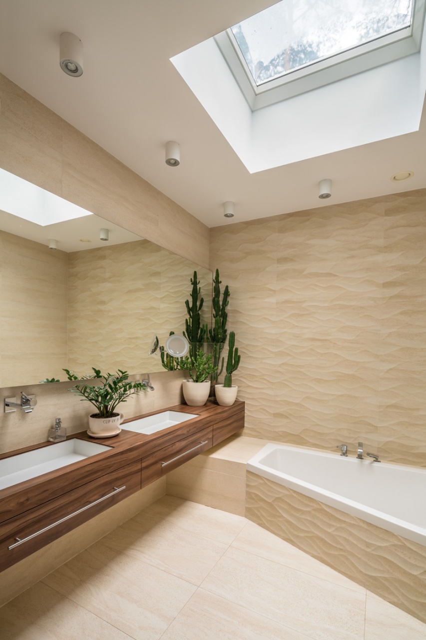 Type F flat roof window features a sleek modern look, characterised by ...